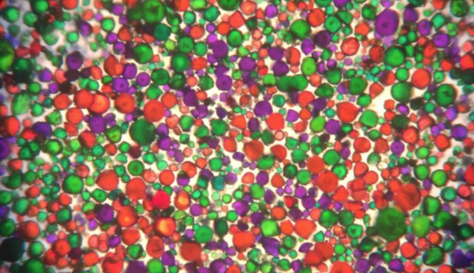 The Autochrome project - the stereosite