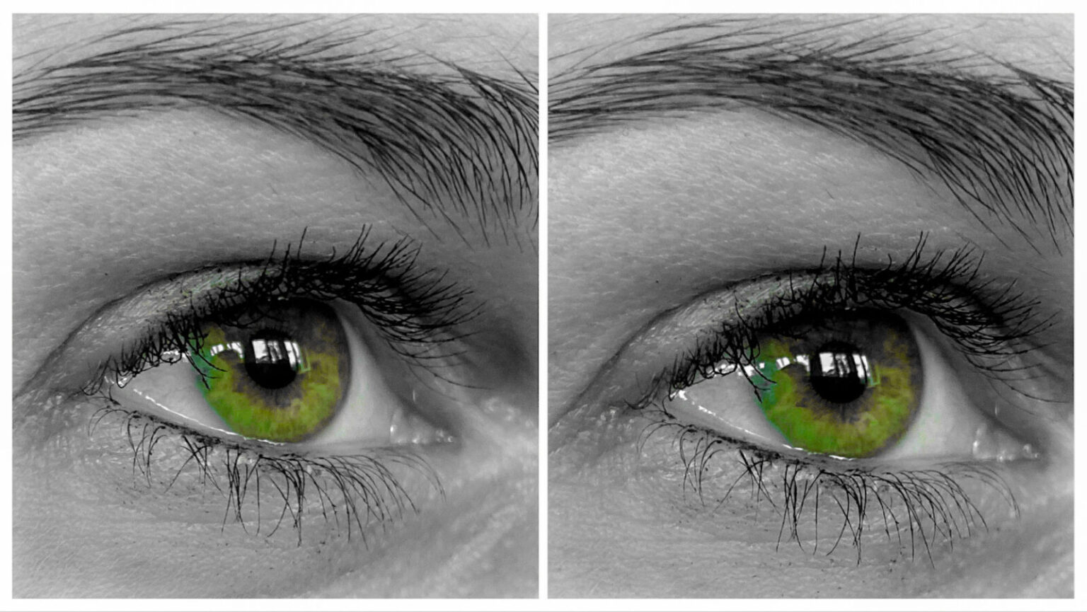 Stereo photography to go - from start to finish in 3 minutes - the ...