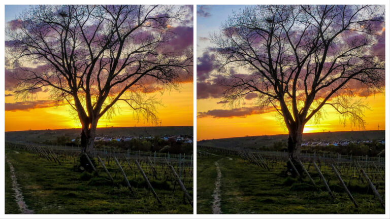 Stereo photography to go - from start to finish in 3 minutes - the ...