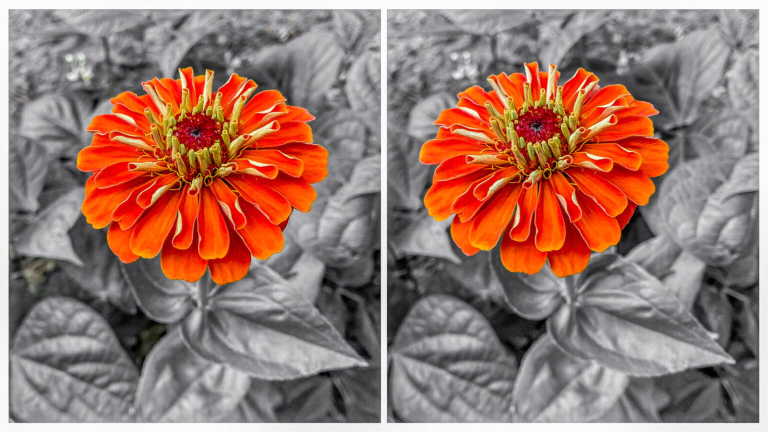 Stereo photography to go - from start to finish in 3 minutes - the ...