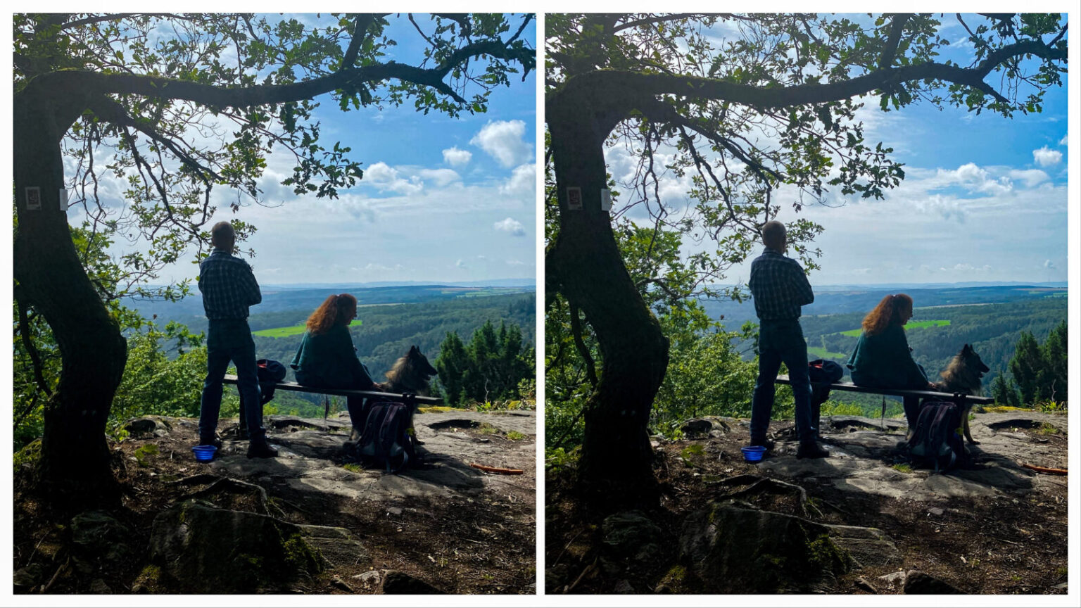 Stereo photography to go - from start to finish in 3 minutes - the ...