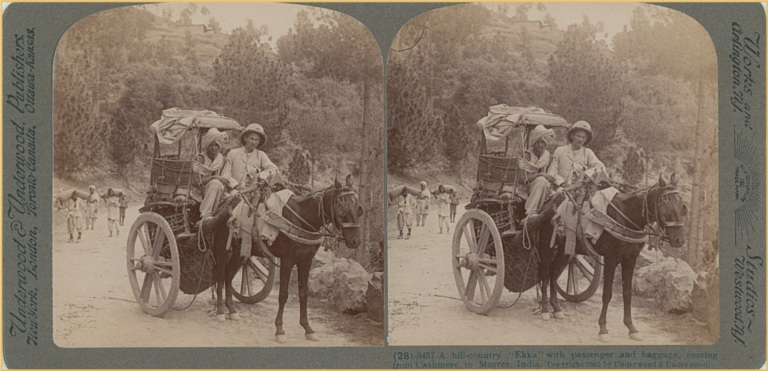 My Stereoview Box Set Collection and 3D Photography - the stereosite