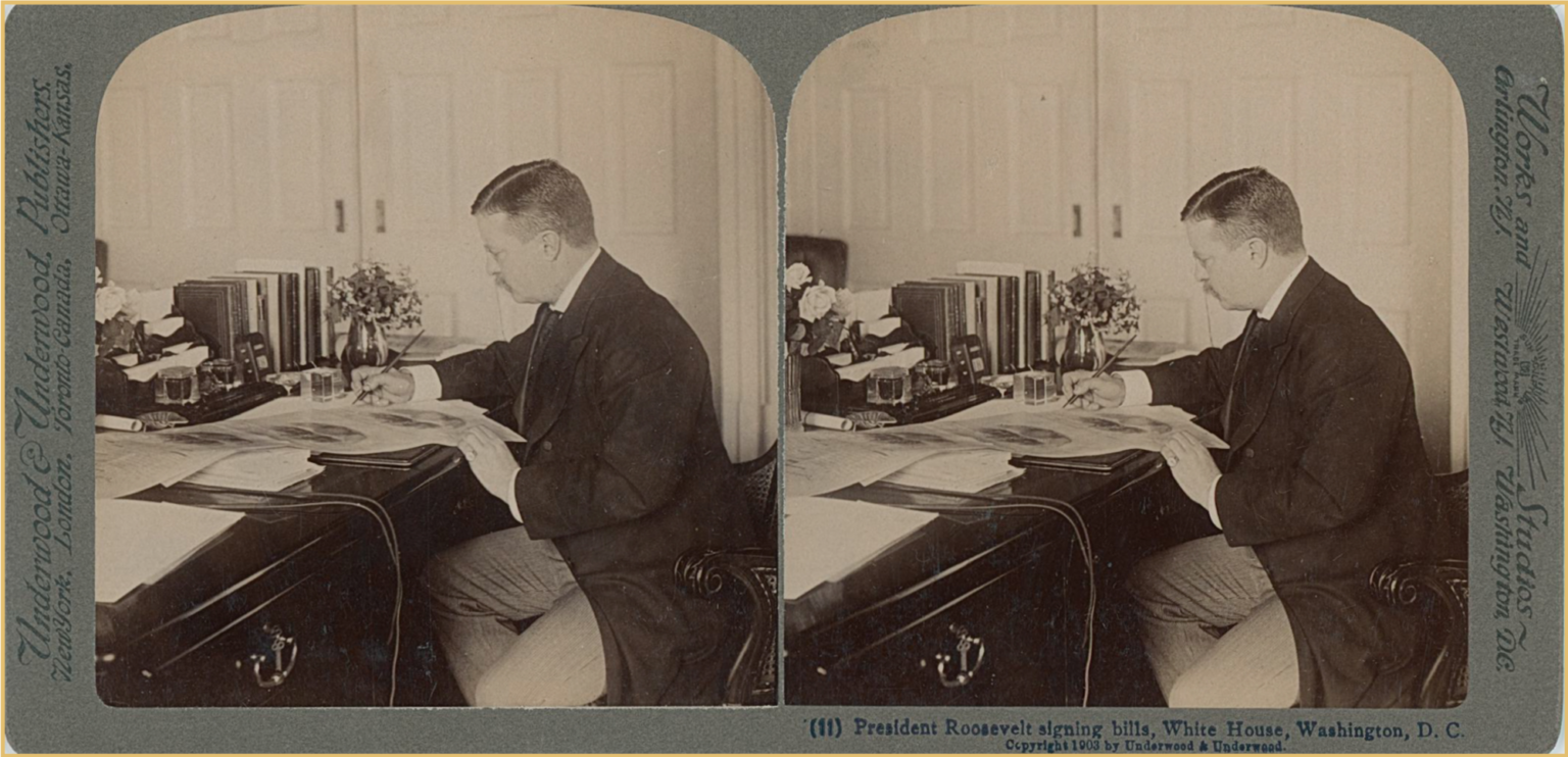 My Stereoview Box Set Collection and 3D Photography - the stereosite